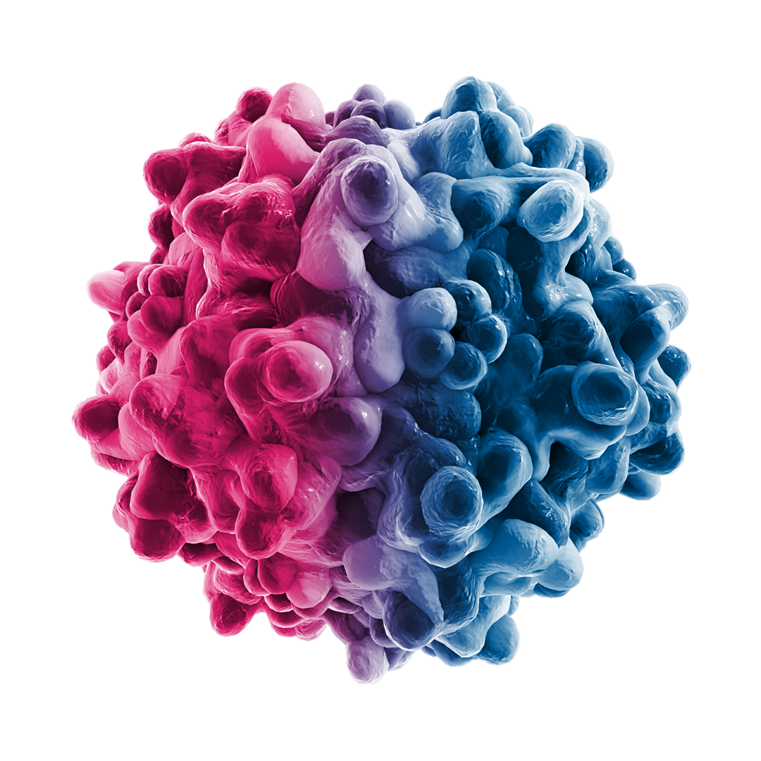 Viral Vector Manufacturing Services | 3PBIOVIAN